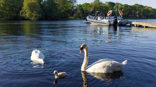 Best of Britain | CIE Tours