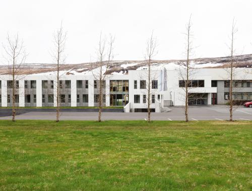 Icelandic Explorer | CIE Tours